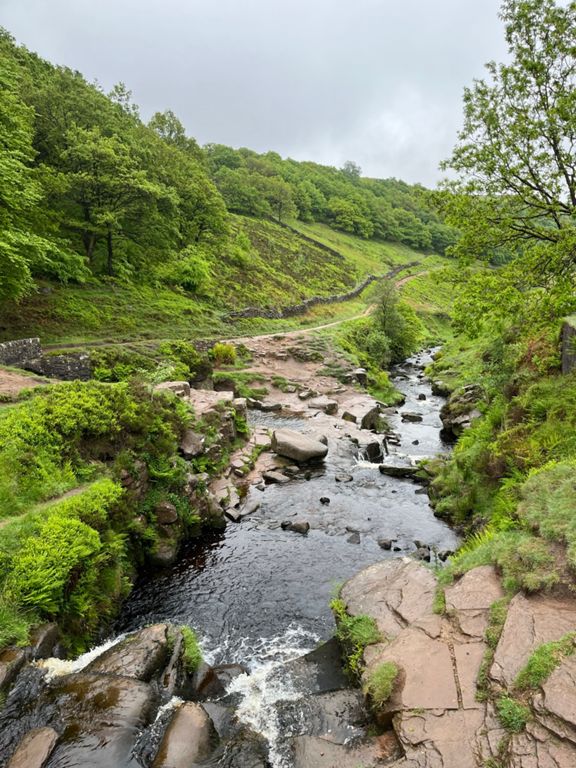 Macc Forest | 23.0 km Mountain Biking Trail on Strava