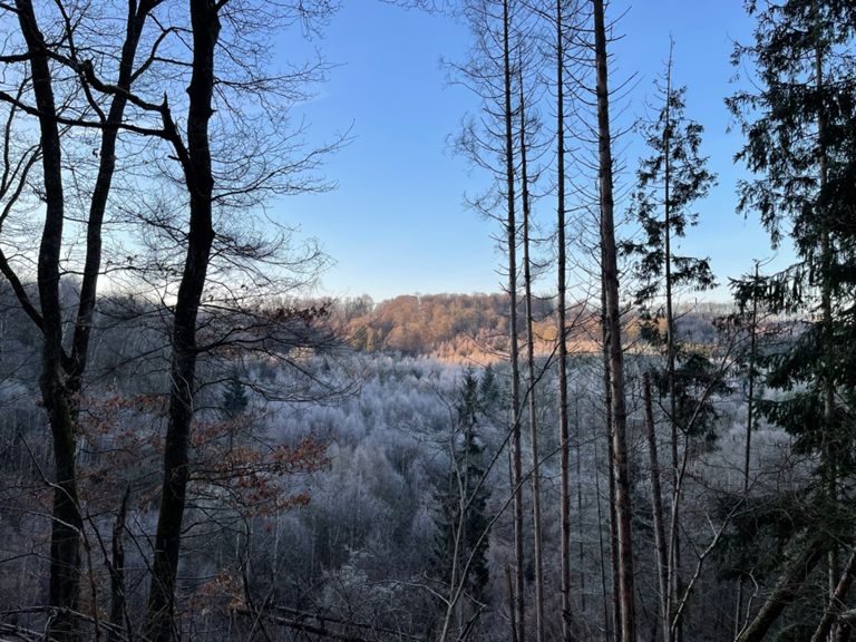 bergem-bergem | 93.8 km Cycling Route on Strava