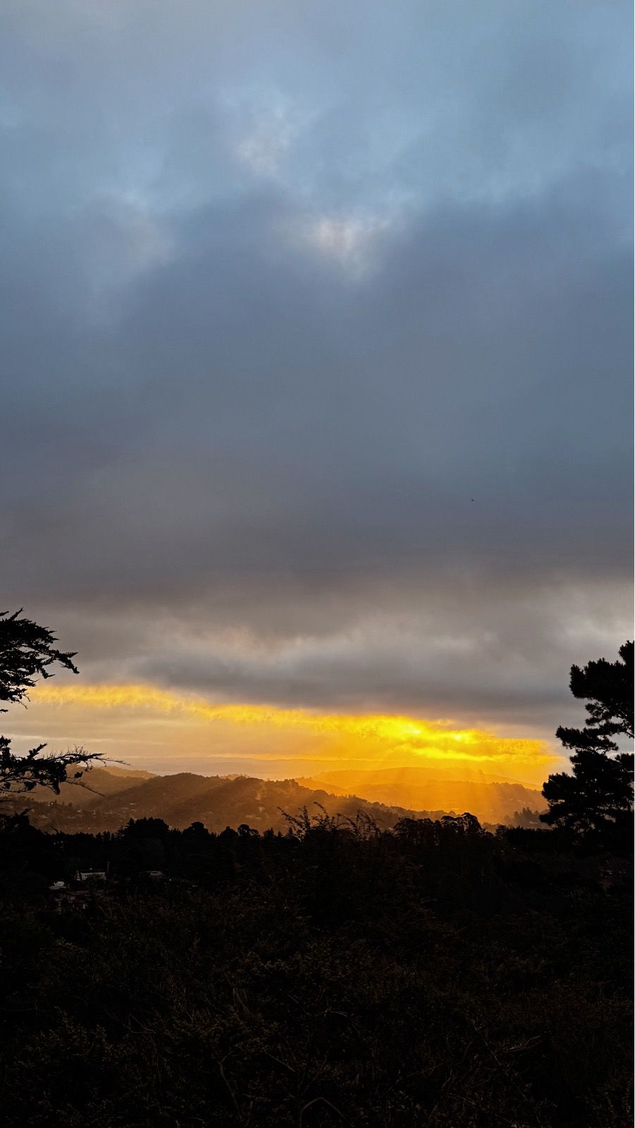 Phoebe Markle | Strava Runner Profile