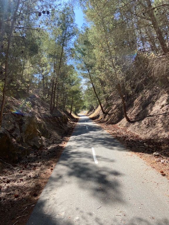 fun in the sun | 47.3 km Cycling Route on Strava