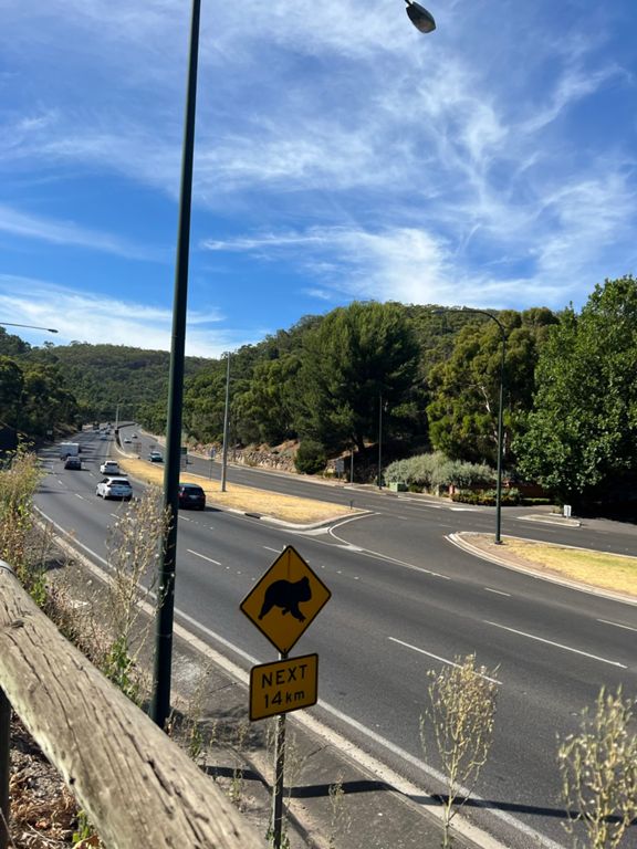 TDU - Last day | 54.4 km Cycling Route on Strava