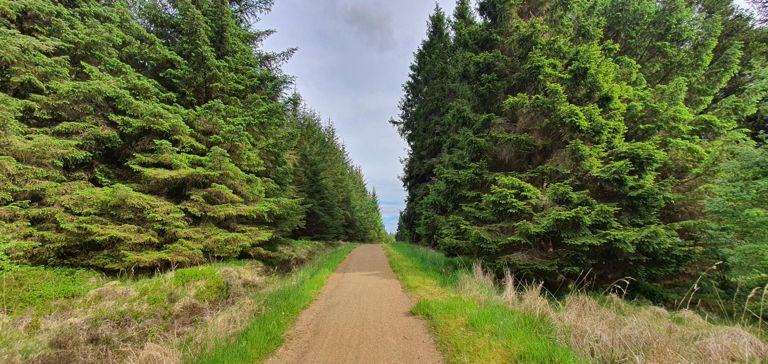 Appleby to Kielder | 78.2 mi Cycling Route on Strava