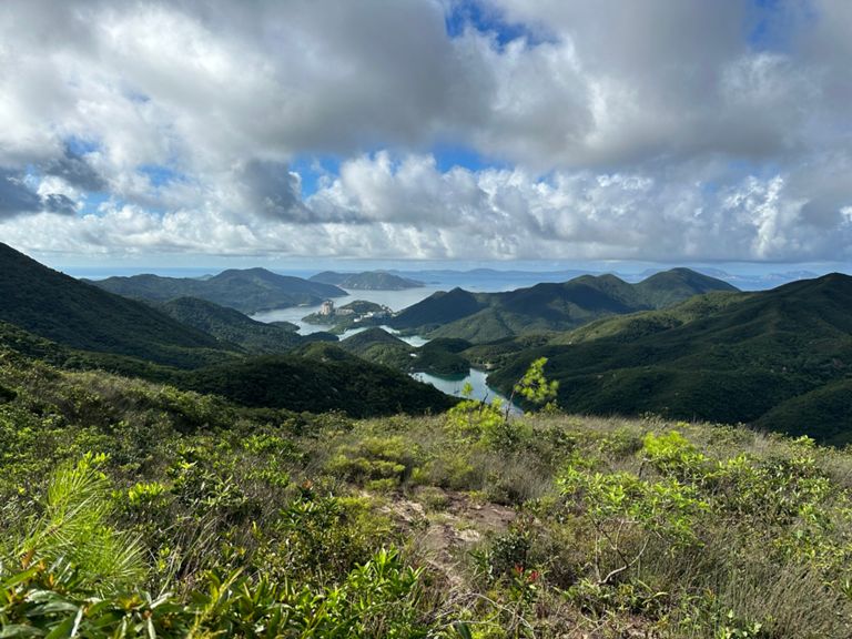 Wilson Trail Full | 86.4 km Trail Running Route on Strava