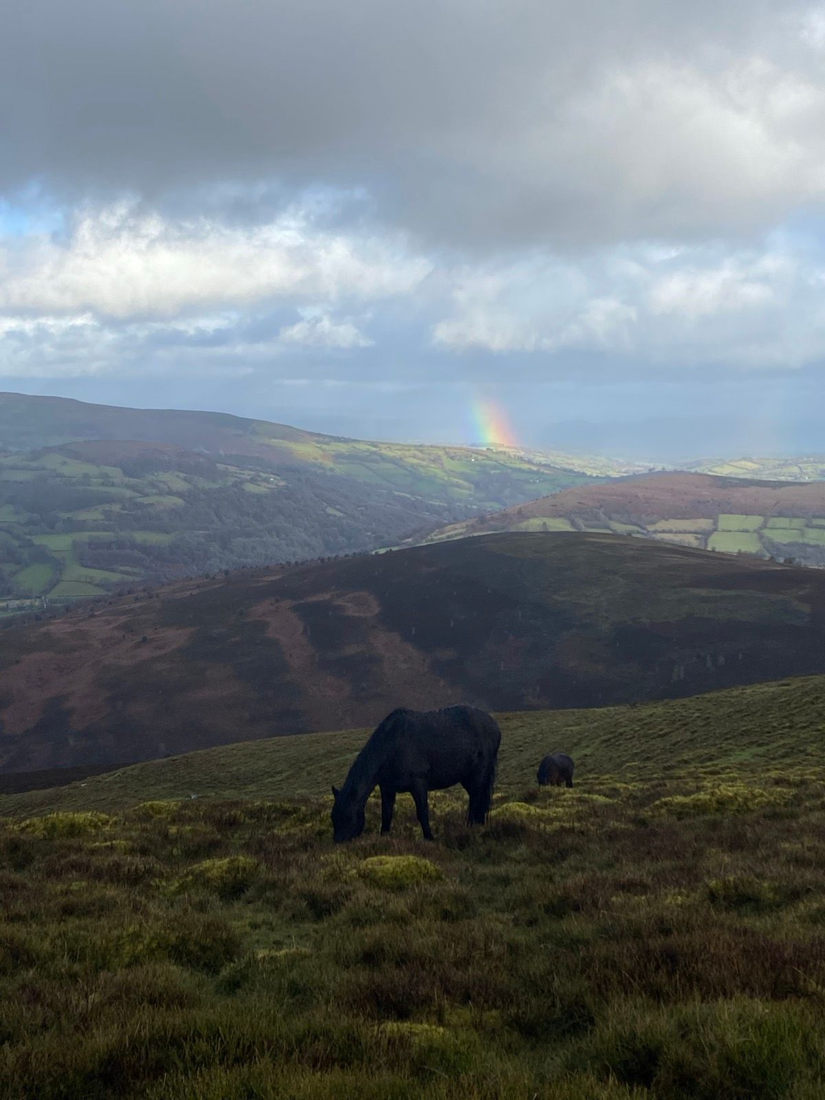 Milly Simpson | Strava Runner Profile