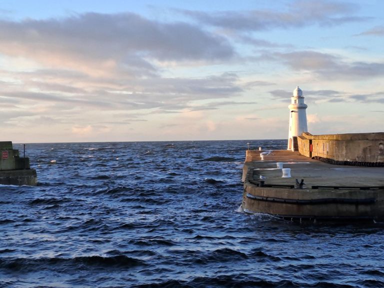 Turra Coo Audax | 311.8 km Cycling Route on Strava