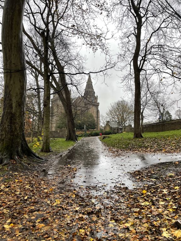 River of Don Loop | 5.1 km Running Route on Strava