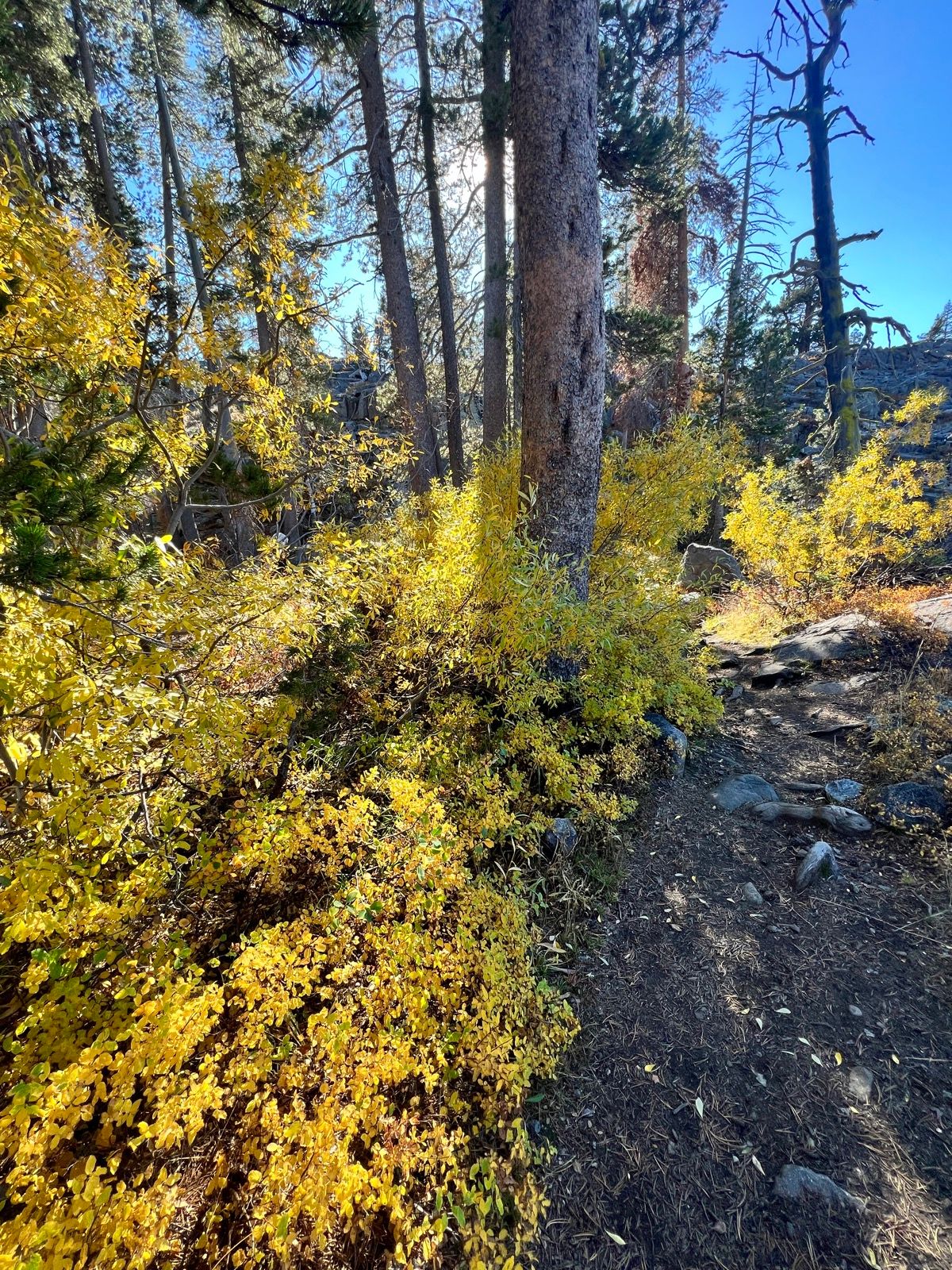 Jenna Kane | Strava Cyclist Profile