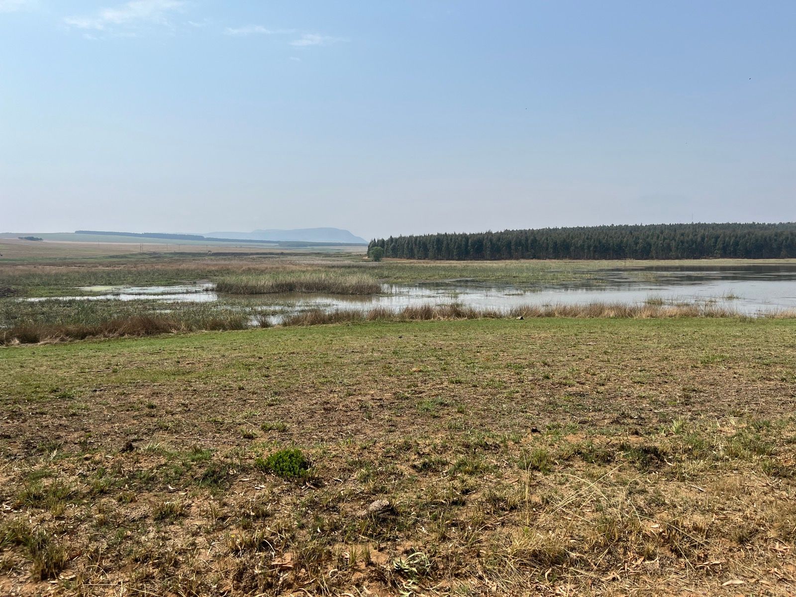 PJ Du Toit | Strava Runner Profile