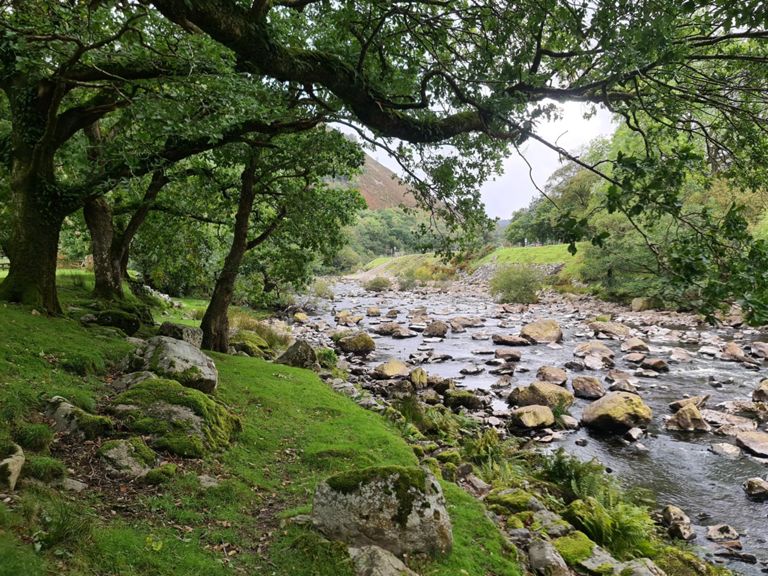 EV2 46.7mi 4120ft | 46.6 mi Cycling Route on Strava