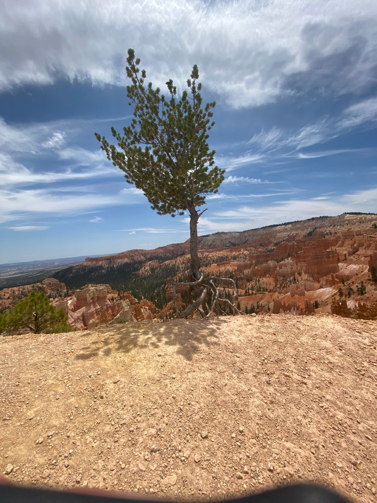 Joshua McNamara | Strava Runner Profile