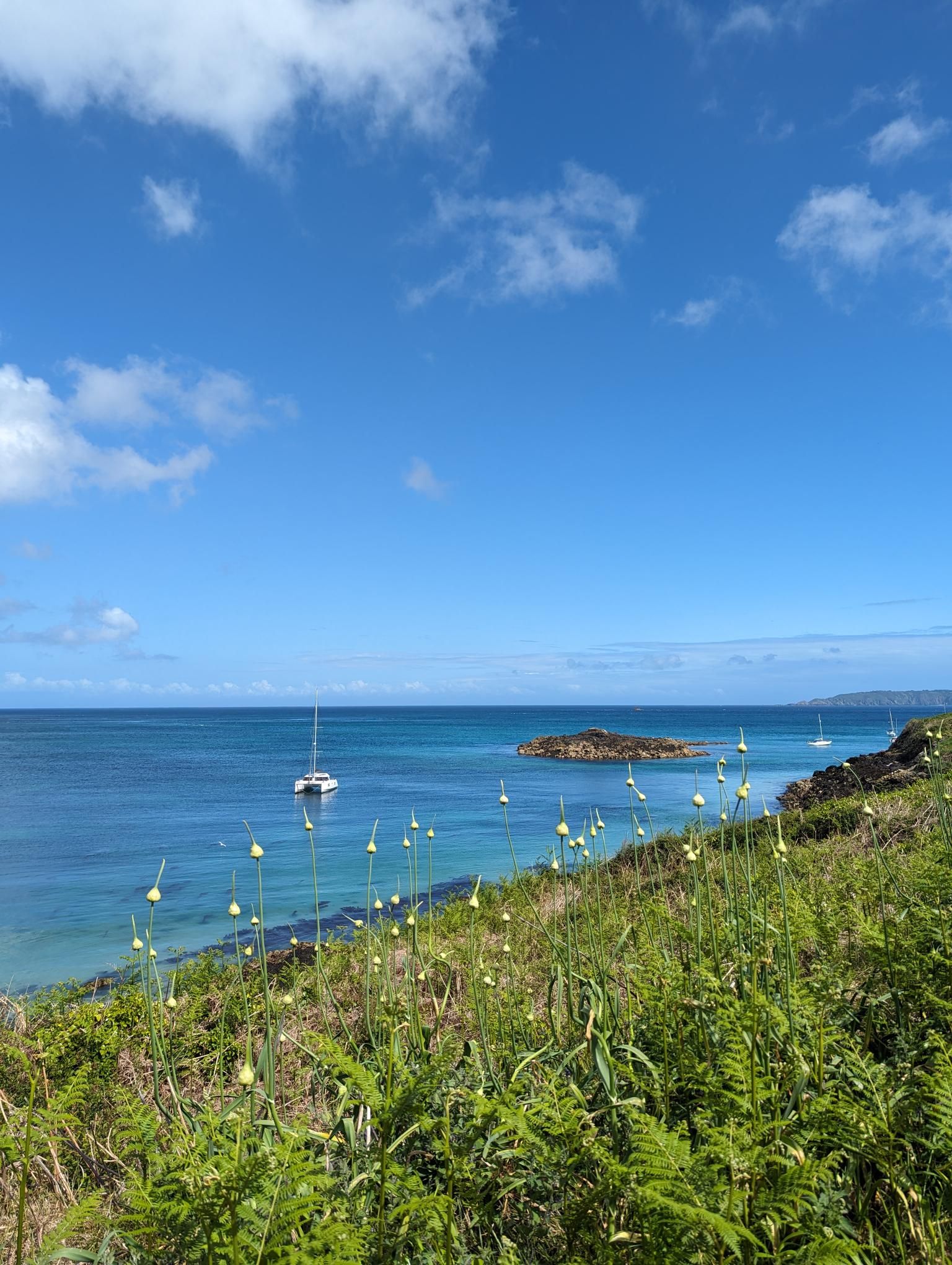 Tom Forgan | Strava 跑者的個人檔案